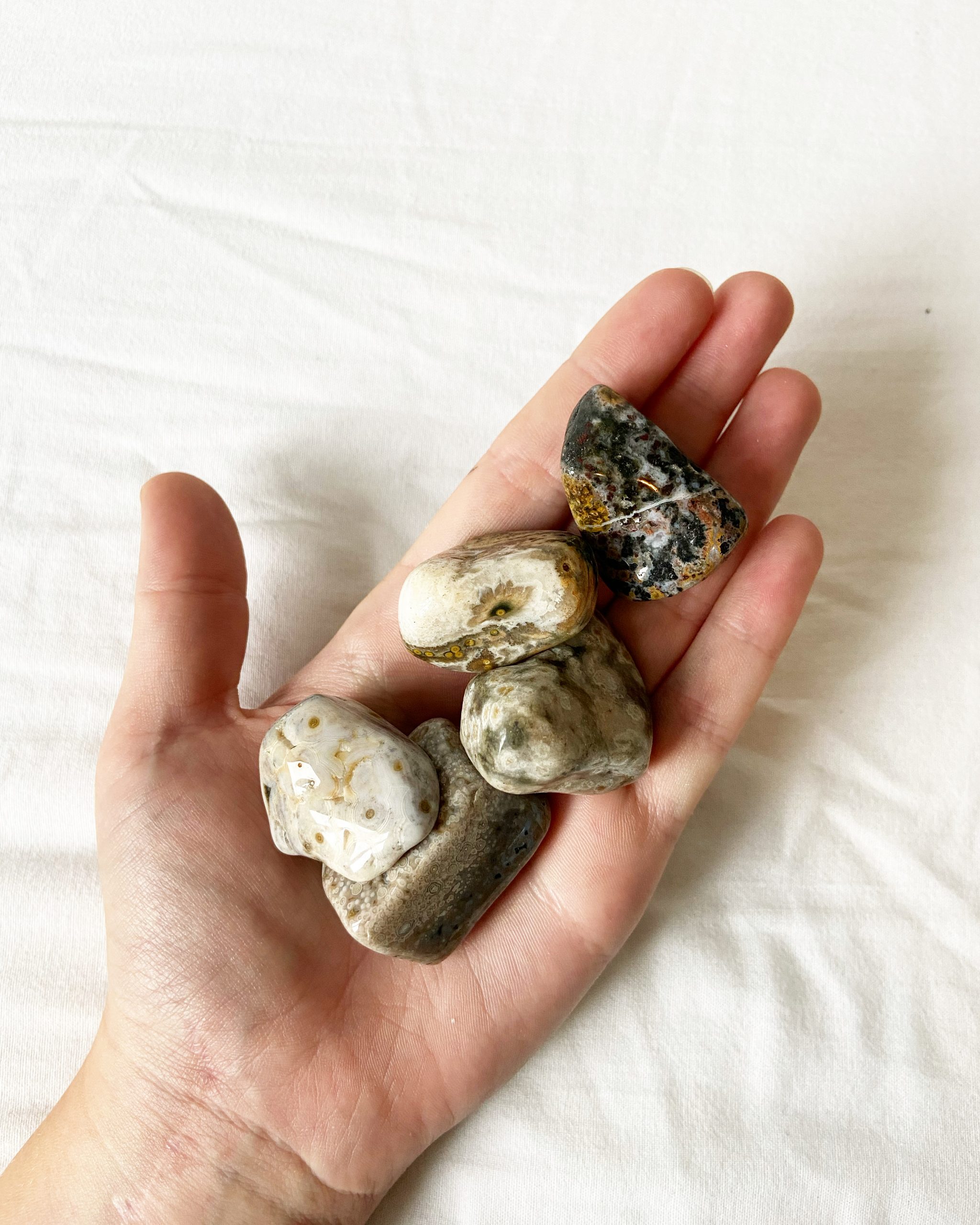 Oceaan Jaspis (3-4cm) - Spiritual crystalshop